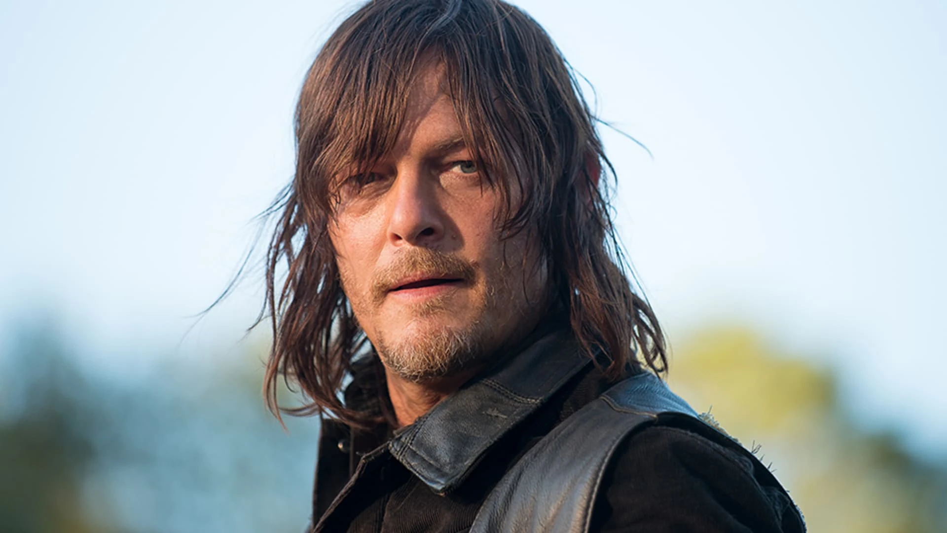 Did you know Norman Reedus (Most famously Daryl from TWD) Voiced ...