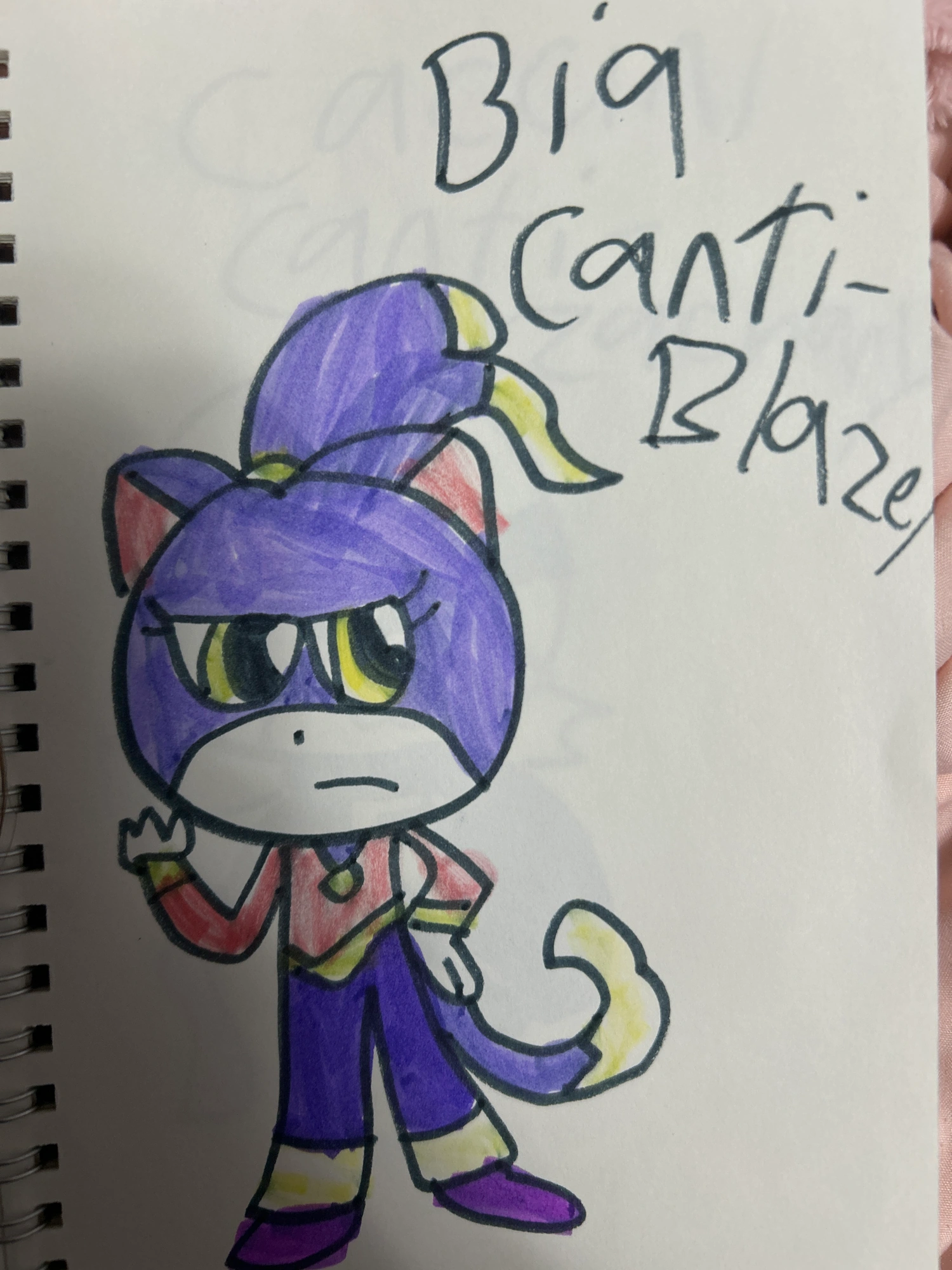 Bia the cat (anti-blaze) | Fandom