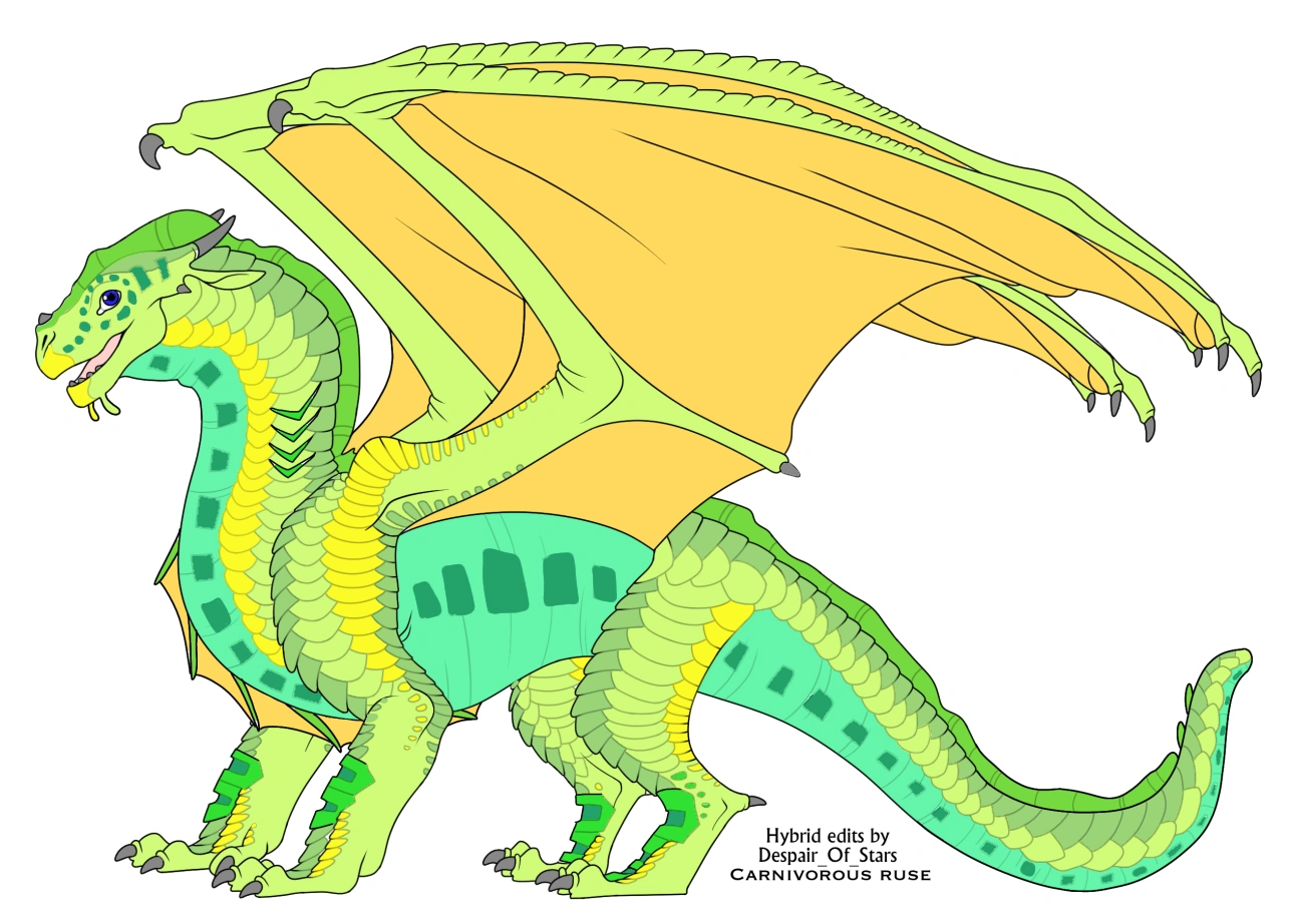 Interact with my newest OC Hybrid Coast! | Fandom