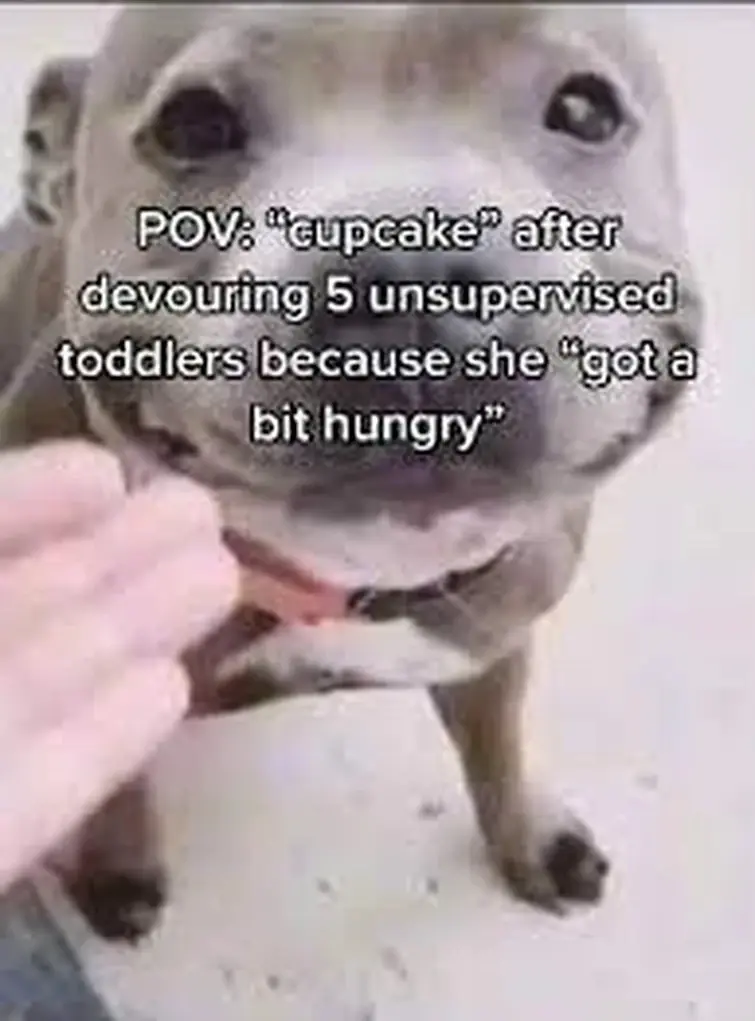 BEWARE THE PIPELINE | Fandom