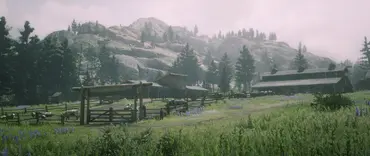 Discuss Everything About Red Dead Wiki | Fandom