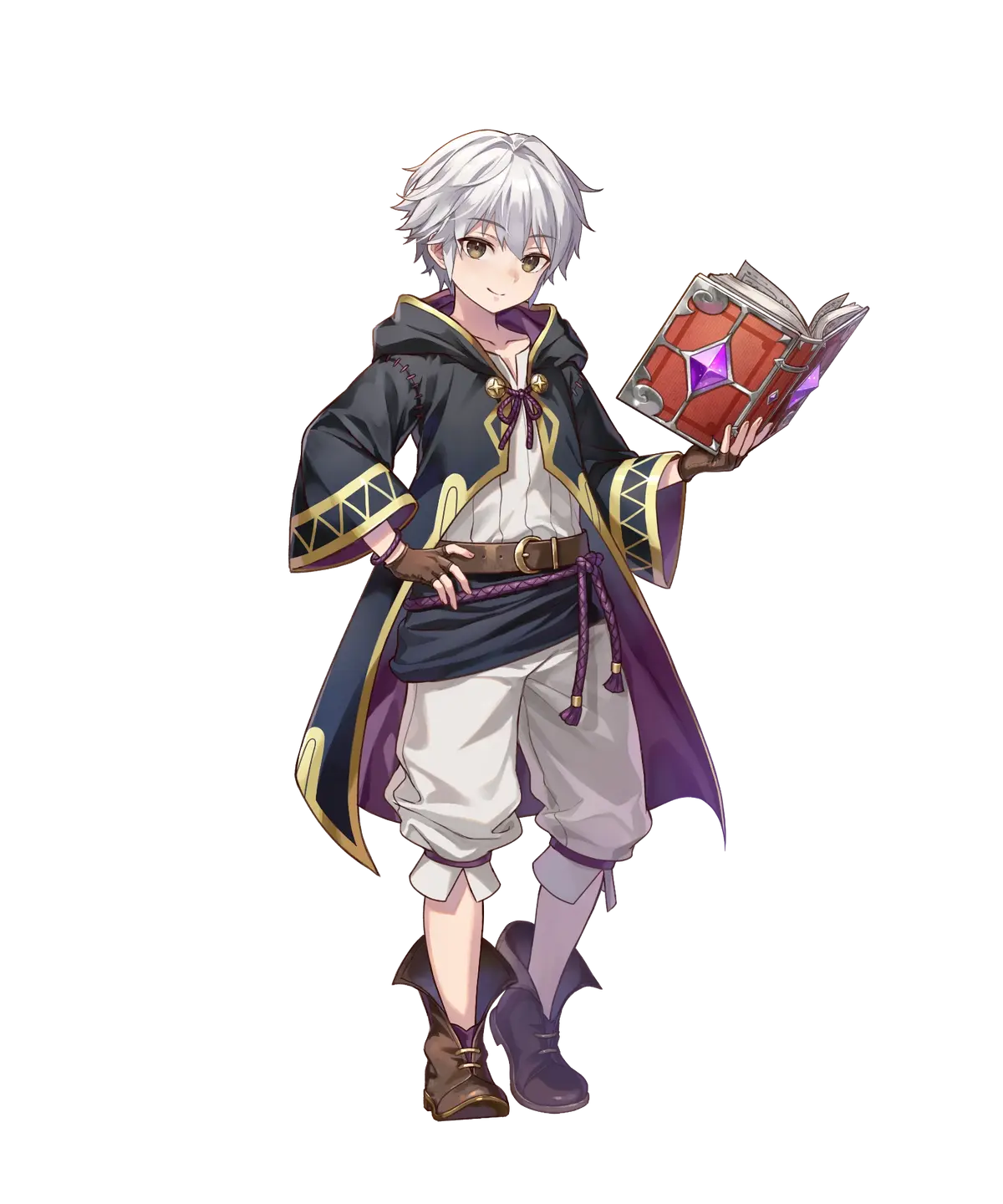 Robin: Fated Vessel - Fire Emblem Heroes Wiki