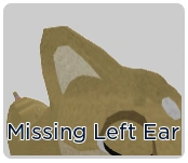 Accessories | Felandia Wiki | Fandom