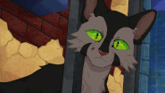 Francis | Felidae Wiki | Fandom