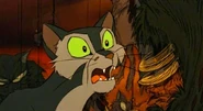 Francis | Felidae Wiki | Fandom