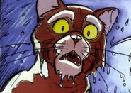 Francis | Felidae Wiki | Fandom