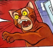 Francis | Felidae Wiki | Fandom