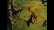 Francis | Felidae Wiki | Fandom