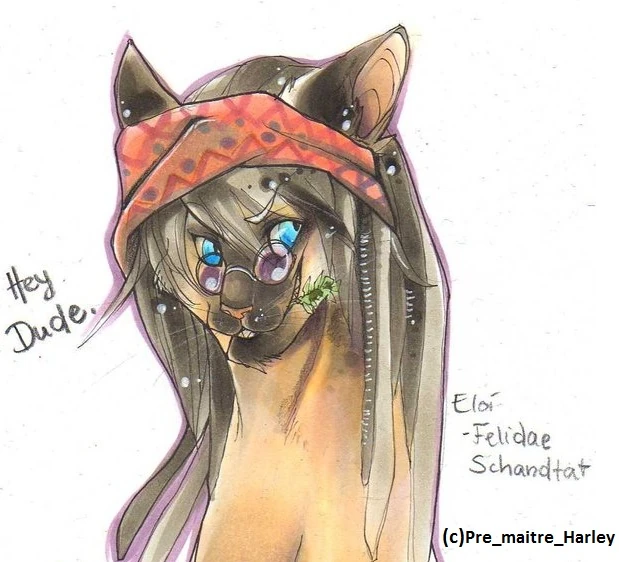 Eloi | Felidae Wiki | Fandom