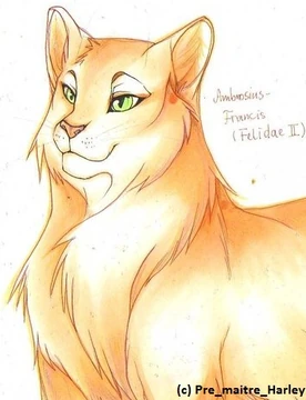 Felidae Part 6