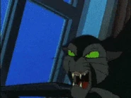 Francis | Felidae Wiki | Fandom