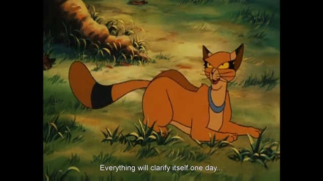 Felidae cats | Felidae Wiki | Fandom