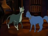 Francis | Felidae Wiki | Fandom