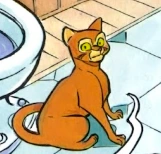 Francis | Felidae Wiki | Fandom