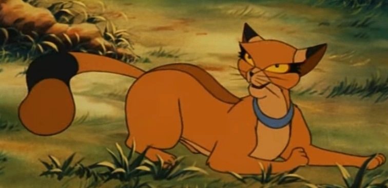 Nhozemphtekh | Felidaecats Wiki | Fandom