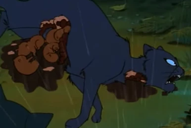 Felidae Kong