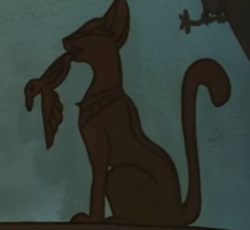 Felidae (breed) | Felidaecats Wiki | Fandom