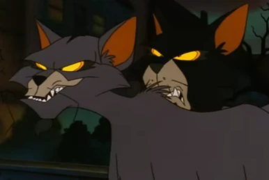 Felidae Kong