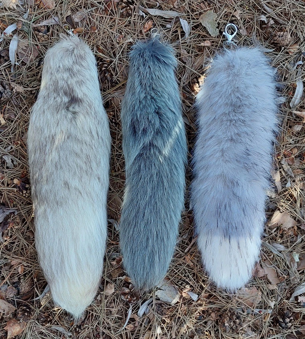 Gear | Feline (therians/otherkin) Wiki | Fandom