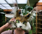 Gear | Feline (therians/otherkin) Wiki | Fandom