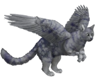 Felidae | Felisfire Wiki | Fandom