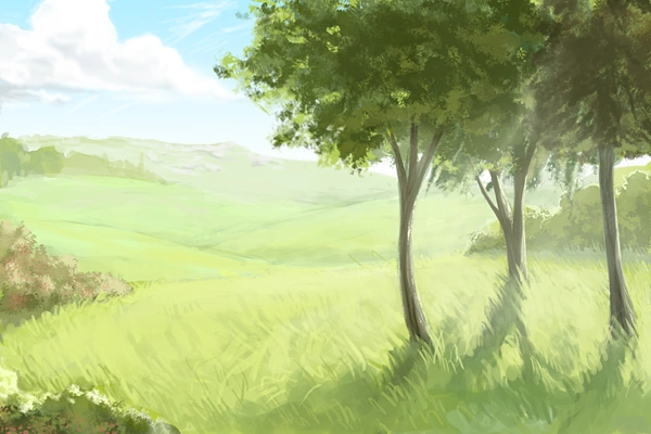 Field | Felisfire Wiki | Fandom