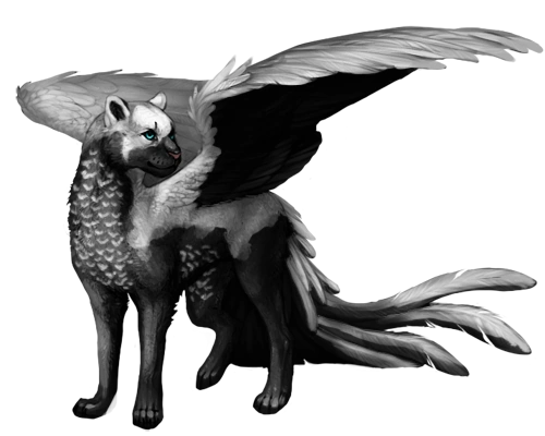 Marking: Peregrine | Felisfire Wiki | Fandom