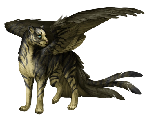 Chetae | Felisfire Wiki | Fandom