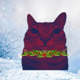 Velvelt389 | Felt389 Wiki | Fandom