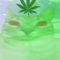 Cocelt369 | Felt389 Wiki | Fandom