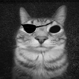 Selt389 | Felt389 Wiki | Fandom