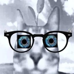 Goelt389 | Felt389 Wiki | Fandom