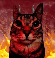 Hellt666 | Felt389 Wiki | Fandom