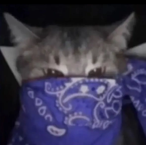 HoodFelt389 | Felt389 Wiki | Fandom