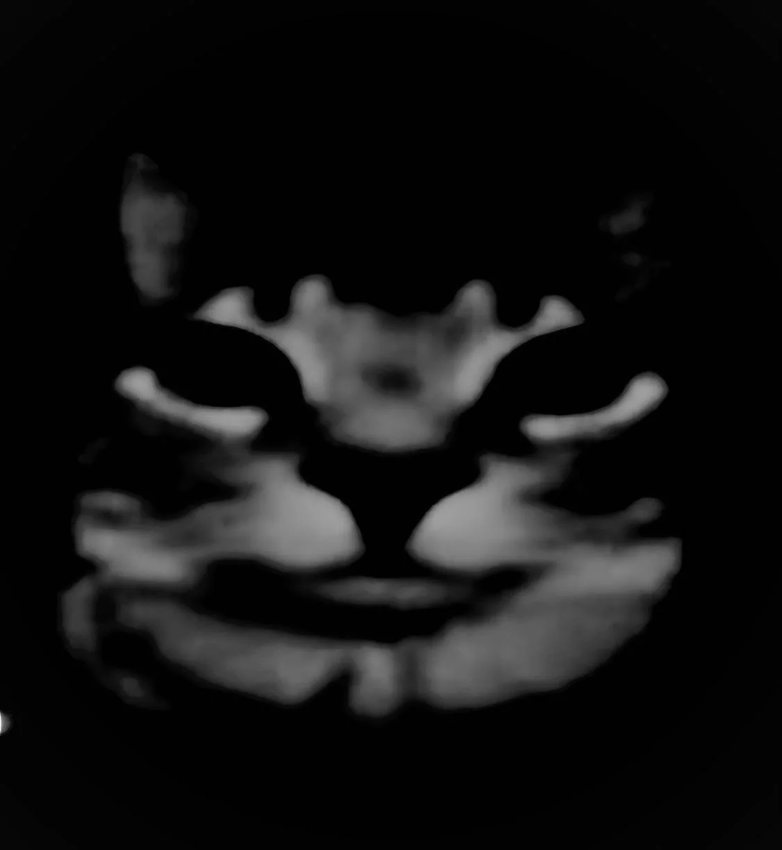 Cyber-felt | Felt389 Wiki | Fandom