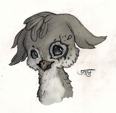 Ojo | Felvin Wiki | Fandom