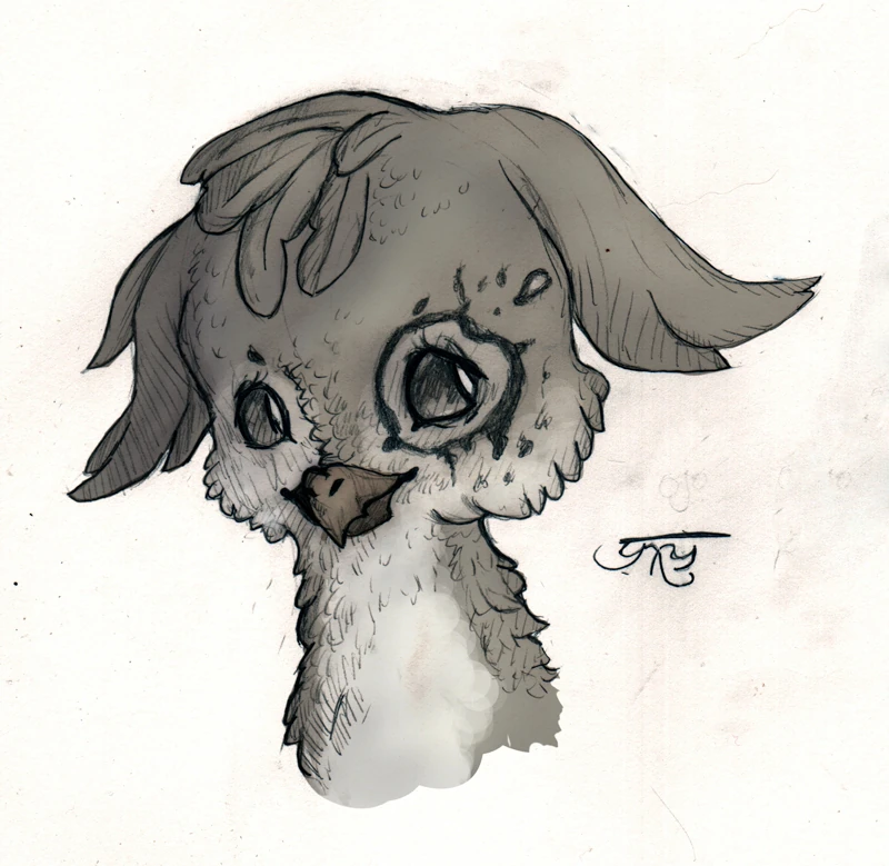 Ojo | Felvin Wiki | Fandom