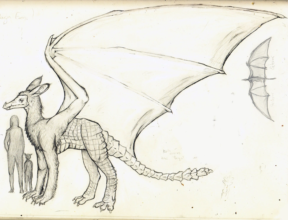 Anethra Raven (Character) | Felvin Wiki | Fandom