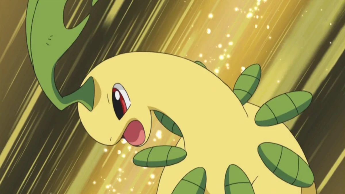 Ash's Bayleef | Female Pokemon Wikia | Fandom
