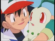 Ash's Bayleef | Female Pokemon Wikia | Fandom