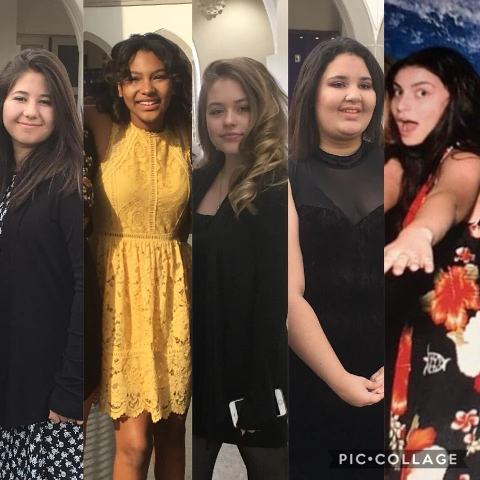 The Gloss | Female Rebel Wiki | Fandom