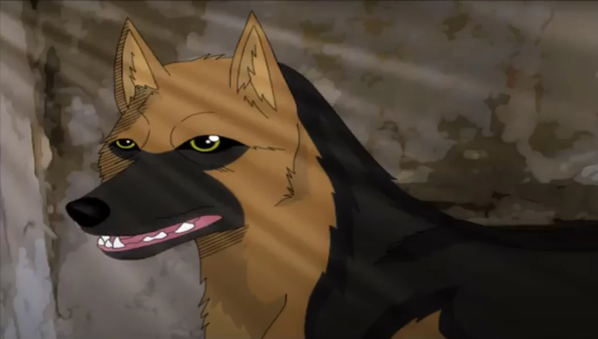 Marko | Feral Pride Wiki | Fandom