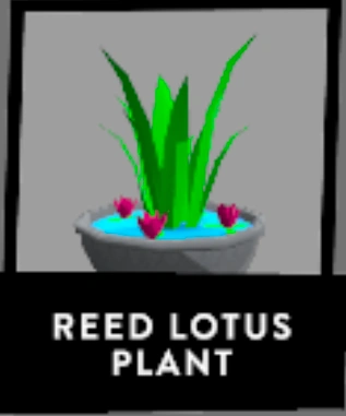 Reed Lotus Plant | Feral Wildworks Wiki | Fandom