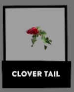 Clover Tail | Feral Wiki | Fandom