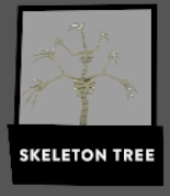 Skeleton Tree | Feral Wiki | Fandom
