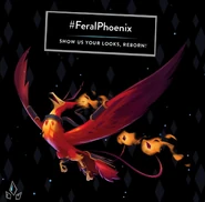 Phoenix | Feral Wiki | Fandom
