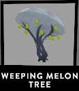 Weeping Melon Tree | Feral Wiki | Fandom