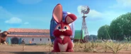 Bunny/Gallery | Ferdinand Wiki | Fandom