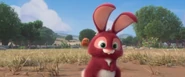 Bunny/Gallery | Ferdinand Wiki | Fandom