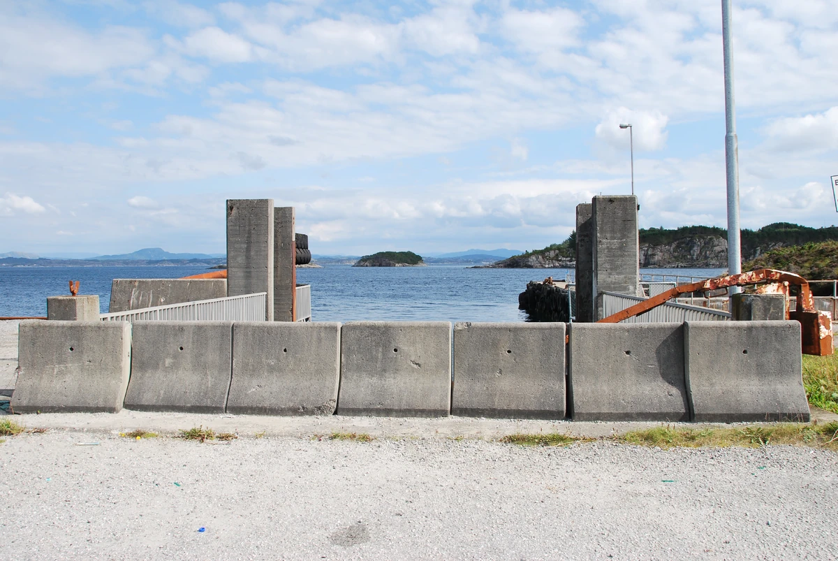 Rong ferjekai | Ferjer Wiki | Fandom